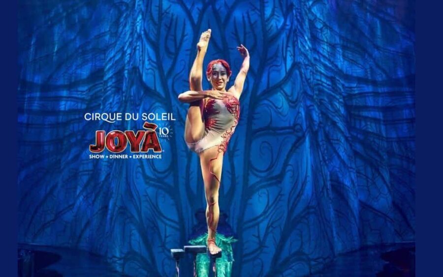 Cancún: Cirque du Soleil JOYÀ Ticket - Final Thoughts on the Cirque du Soleil JOYÀ Experience