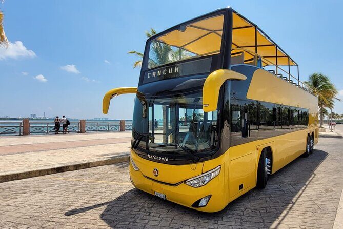 Cancun City Sightseeing and Shopping Tour on a Double Decker bus - Who Should Consider This Tour?