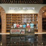 Cancun City Tour + El Meco Ruins Round Transportation - Pricing and Value