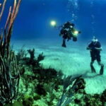 Cancún: Cozumel 2-Tank Diving Tour with Lunch & Transfers - What Makes This Tour Stand Out
