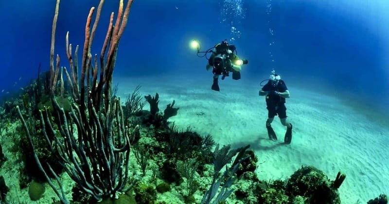 Cancún: Cozumel 2-Tank Diving Tour with Lunch & Transfers - What Makes This Tour Stand Out