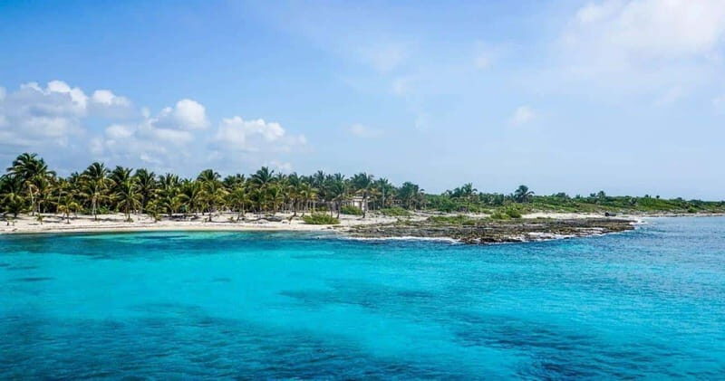 Cancun: Cozumel Diving for Beginners - Detailed Itinerary Breakdown