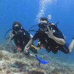 Cancun: Dive Underwater Museum & Manchones Reef - Detailed Breakdown of the Itinerary