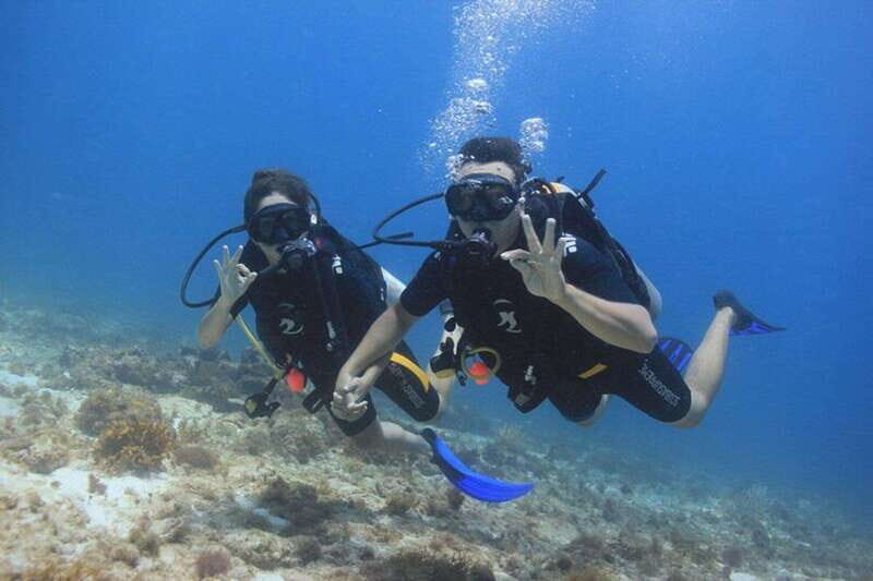 Cancun: Dive Underwater Museum & Manchones Reef - Detailed Breakdown of the Itinerary