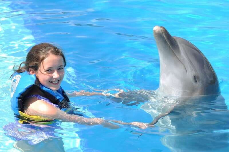 Cancún: Dolphin Encounter on Isla Mujeres with Buffet - Who Will Love This Tour?