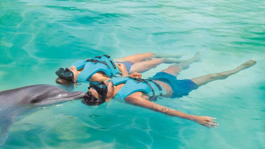 CANCUN: Dolphin Swim Adventure with buffet and soft drinks - Authentic Feedback from Travelers