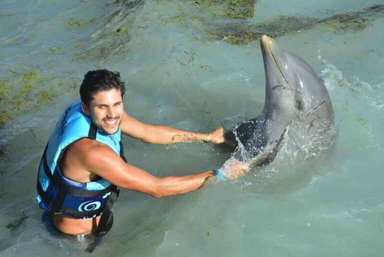 Cancun: Dolphin Swim and Garrafon Reef Park Tour with Buffet - Who Will Love This Tour?
