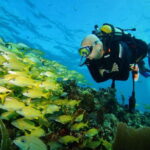 CANCUN: FIRST TIME DIVERS CANCUN - Authentic Feedback from Participants