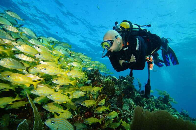 CANCUN: FIRST TIME DIVERS CANCUN - Authentic Feedback from Participants