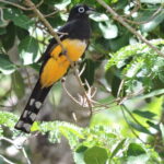 Cancún: Guided Birdwatching Hike - Why This Tour Offers Great Value