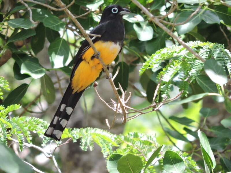 Cancún: Guided Birdwatching Hike - Why This Tour Offers Great Value