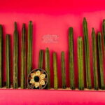 Cancun Guided Sightseeing, Shopping and Tasting Tour - Real Traveler Perspectives