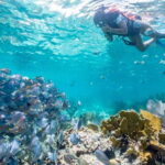 Cancun: Half Day Private Catamaran to Isla Mujeres - A Closer Look at the Itinerary and Experience