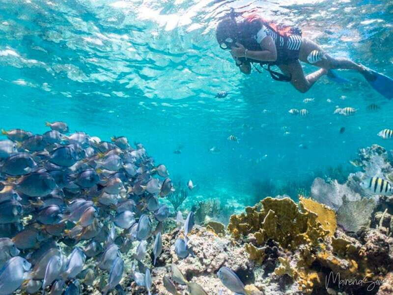 Cancun: Half Day Private Catamaran to Isla Mujeres - A Closer Look at the Itinerary and Experience