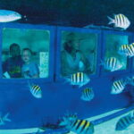 Cancún: Hop-on Hop-off Bus Tour with Submarine Trip - Exploring the Itinerary in Detail
