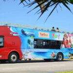 Cancun: Hop-on Hop-off Sightseeing Bus Tour and Attractions - The Sum Up