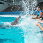 Cancun: Interactive Aquarium - Swim with dolphins Premium - The Aquarium Trek: Unique and Family-Friendly