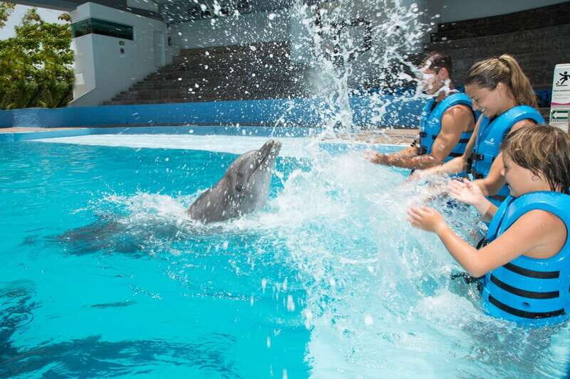 Cancun: Interactive Aquarium - Swim with dolphins Premium - The Aquarium Trek: Unique and Family-Friendly