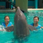 Cancun: Interactive Aquarium Ticket and Swim with Dolphins - Final Thoughts: Is It Worth It?