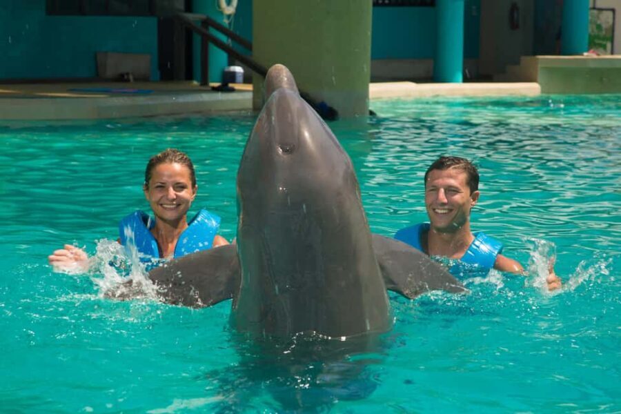Cancun: Interactive Aquarium Ticket and Swim with Dolphins - Final Thoughts: Is It Worth It?