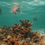 Cancun: Isla Mujeres Adults Only Party Catamaran with Drinks - Sailing and Snorkeling