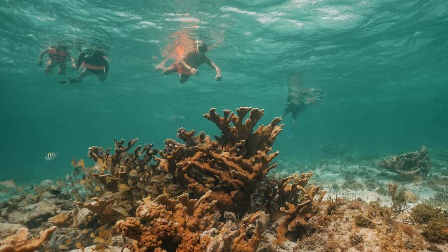 Cancun: Isla Mujeres Adults Only Party Catamaran with Drinks - Sailing and Snorkeling