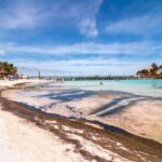 Cancun: Isla Mujeres All-Inclusive Catamaran with pick-up - The Beach Club and Lunch: Rest and Recharge