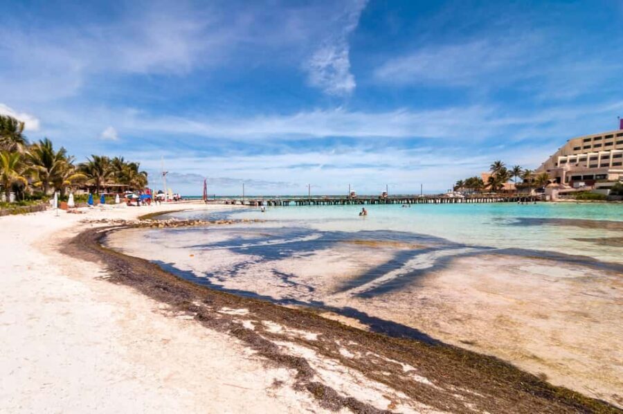 Cancun: Isla Mujeres All-Inclusive Catamaran with pick-up - The Beach Club and Lunch: Rest and Recharge