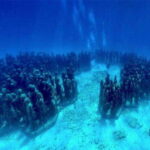 Cancun: MUSA Diving for certified divers morning dive trip - What Makes This Tour Special?