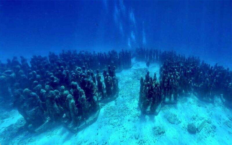 Cancun: MUSA Diving for certified divers morning dive trip - What Makes This Tour Special?