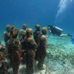 Cancun: Musa Underwater Museum & Reef Discover Scuba Diving - Practical Aspects to Keep in Mind