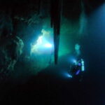 Cancun or Isla Mujeres Reef Diving for Beginners - The Reefs: Colorful, Vibrant, and Teeming with Marine Life