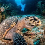Cancun: Parrotfish Adventure Package - Final Thoughts