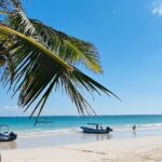 Cancun Private Driver - What’s Included and What’s Not