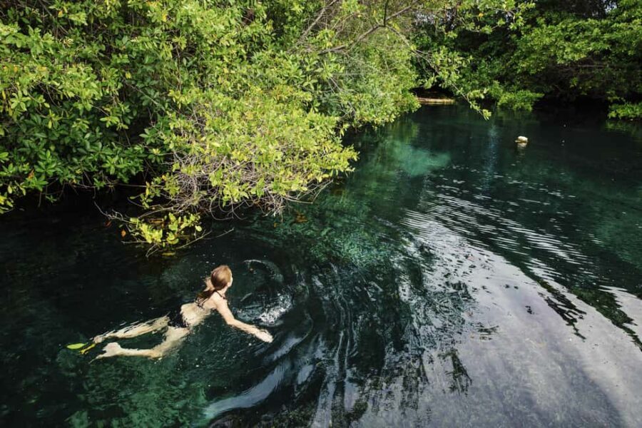 Cancun: Quad biking, zip lines, and swimming in a jungle cenote - The Training Wheels: What’s Included and What’s Not
