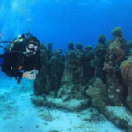 Cancun: Scuba Diving for Certified Divers, 3 options to dive - Whats Included and Whats Not