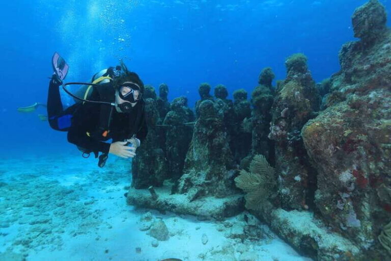 Cancun: Scuba Diving for Certified Divers, 3 options to dive - Whats Included and Whats Not