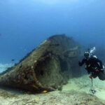 Cancun: Shipwreck & Reef for Certified Divers - Authentic Experiences and Authenticity