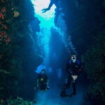 Cancun: Sian Ka'an Biosphere Reserve - What the Reviews Say