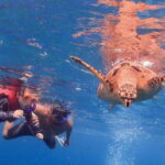 Cancun: Snorkeling at Underwater Museum & Manchones Reef - The Experience: Pros and Cons