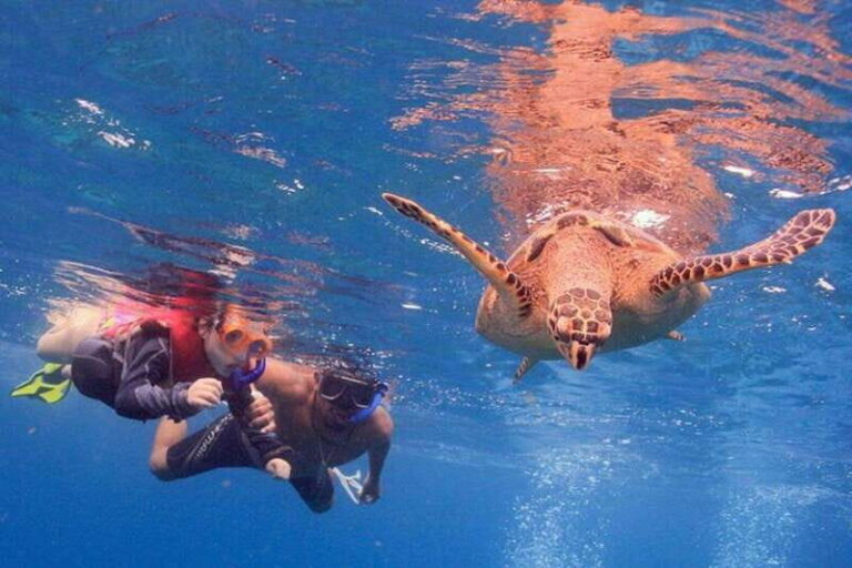 Cancun: Snorkeling at Underwater Museum & Manchones Reef - The Experience: Pros and Cons
