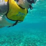 Cancun: Snorkeling Boat Tour with Gear - A Closer Look at the Itinerary