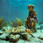 Cancun: Snorkeling Tour at MUSA The Underwater Museum - What Travelers Are Saying
