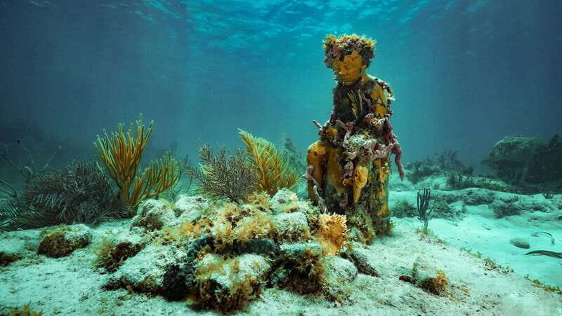 Cancun: Snorkeling Tour at MUSA The Underwater Museum - What Travelers Are Saying