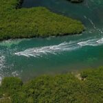 Cancun speedboat and snorkel tour: shared speedboat - What to Expect from the Tour
