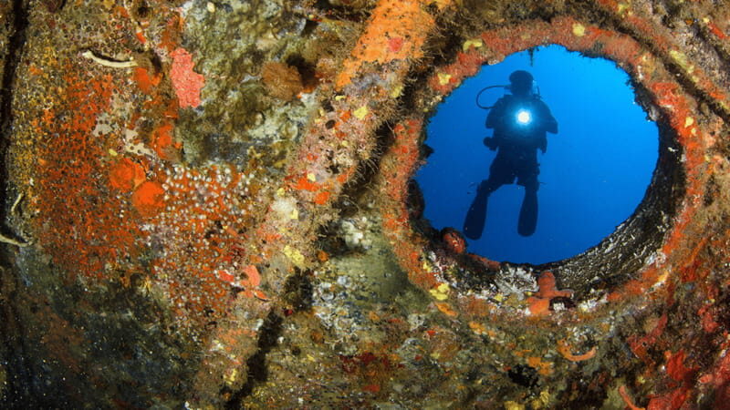Cancún: Wreck and Reef for Certified Scuba Divers - Why You Should Consider This Tour