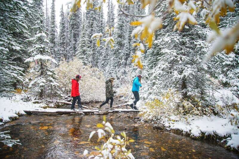 Canmore: Explore Winter Wildlife Tracks - 2hr Nature Walk - The Guides: Knowledge That Matters