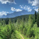 Canmore: LOST TOWNS and Untold Stories - Hiking Tour 3hrs - Who Is This Tour Best For?