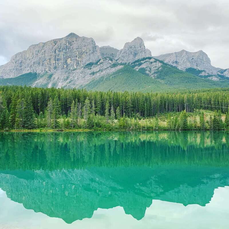 Canmore: PRIVATE SAFARI Drive to BANFF Park & Nature Walk - The Scenic Drive: Highlights and Wildlife Sightings