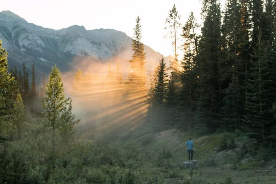 Canmore: Sunset Tour and Evening Nature Walking - The Pricing and Overall Value
